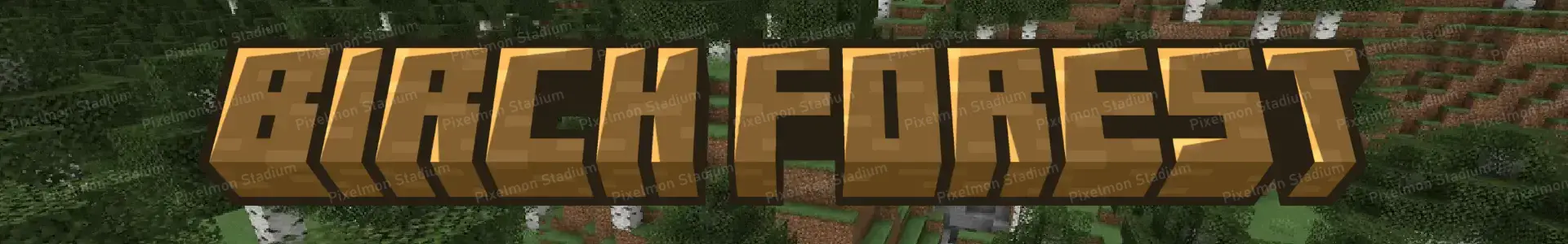 Birch Forest - Pixelmon Stadium